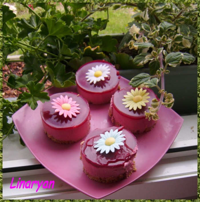 8 Bavarois fruits rouge (ou un gros) – Tous toqués